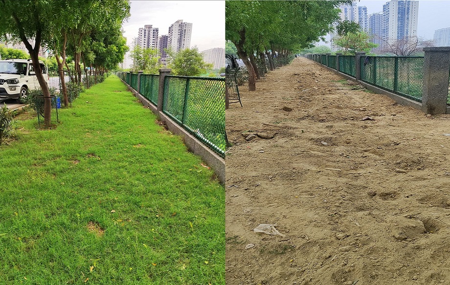 The Forest Department issued a notice to the Noida Authority for the ...