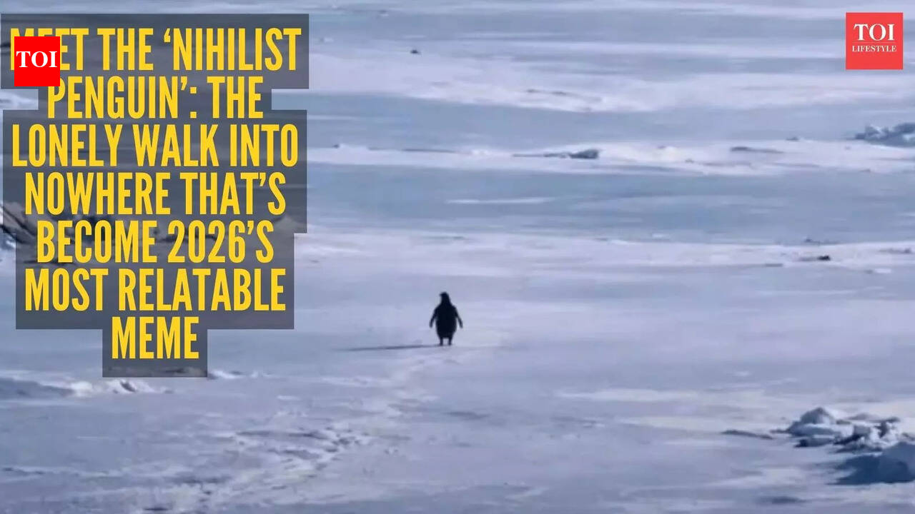 Explained: Why is a penguin’s 'death march' going viral? Know the ...